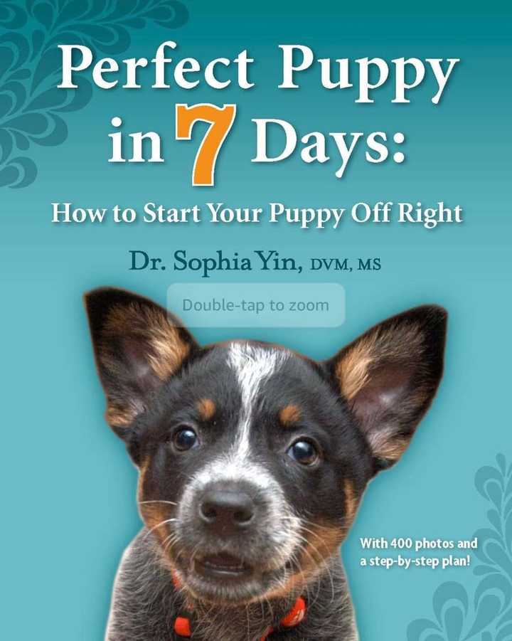 12 Top Dog Training Books for Every Kind of Dog