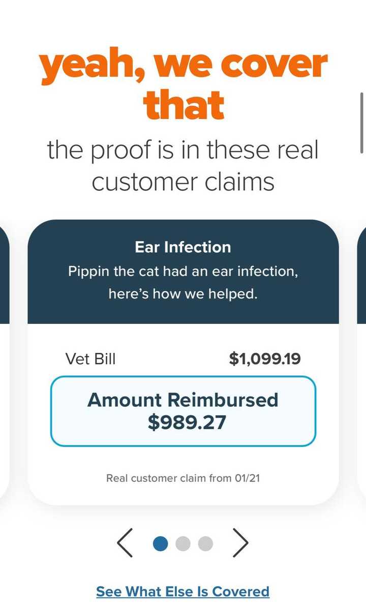 Top 10 Dog Insurance Companies for 2025