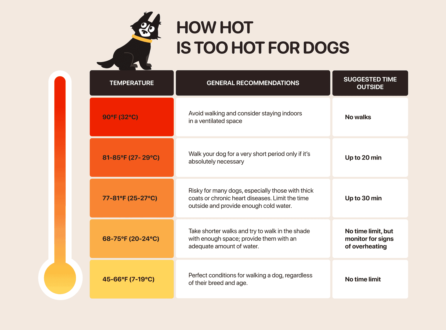 How Hot Is Too Hot for a Dog? Dog Walk Temperature Chart