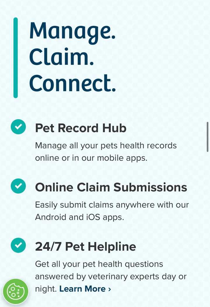 Top 10 Dog Insurance Companies for 2025