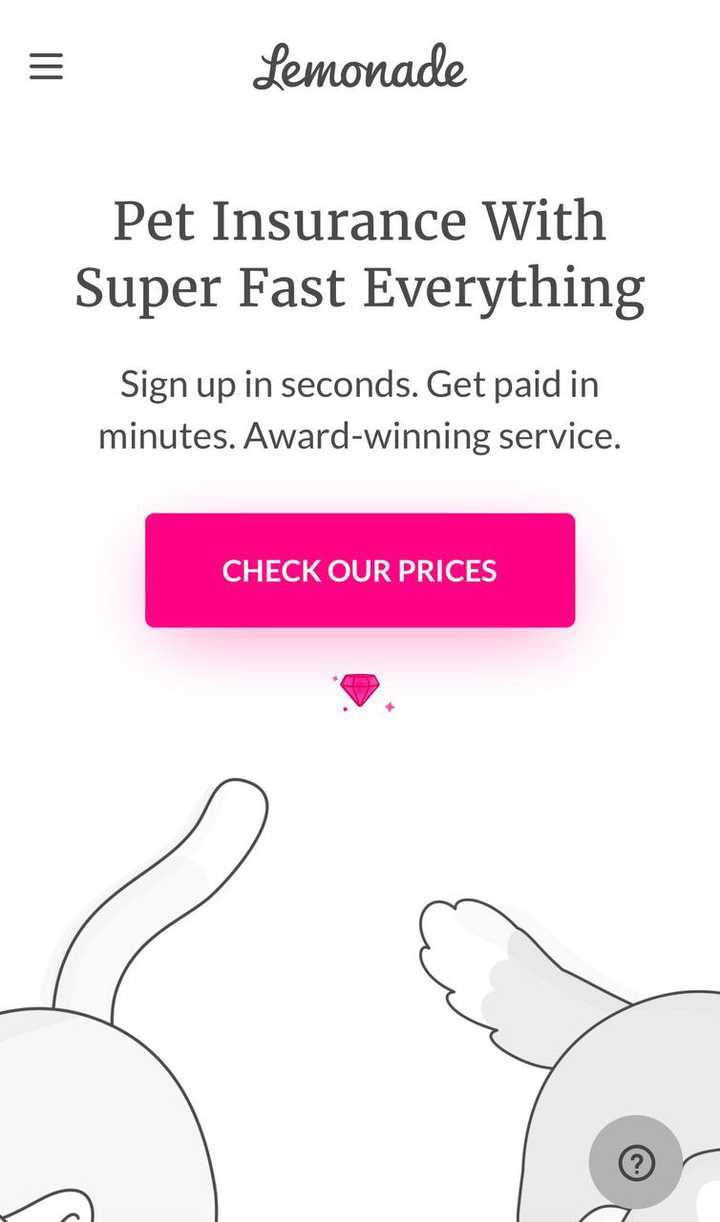 Top 10 Dog Insurance Companies for 2025