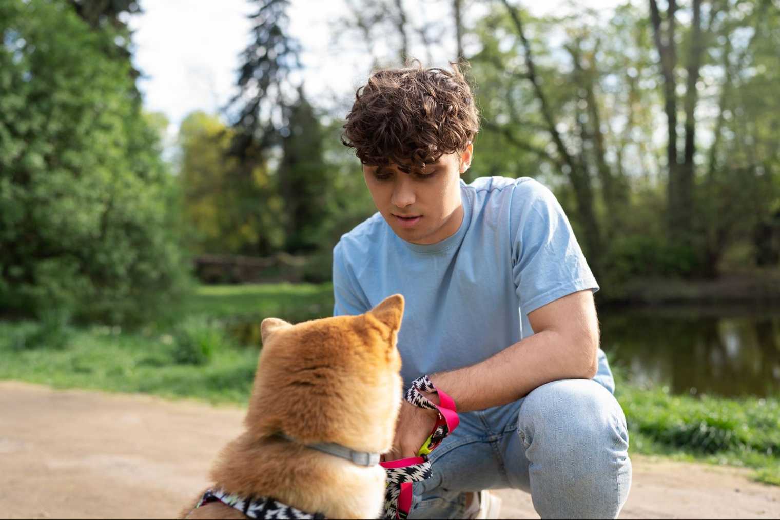 Train Your Dog to Focus with the Watch Me Command