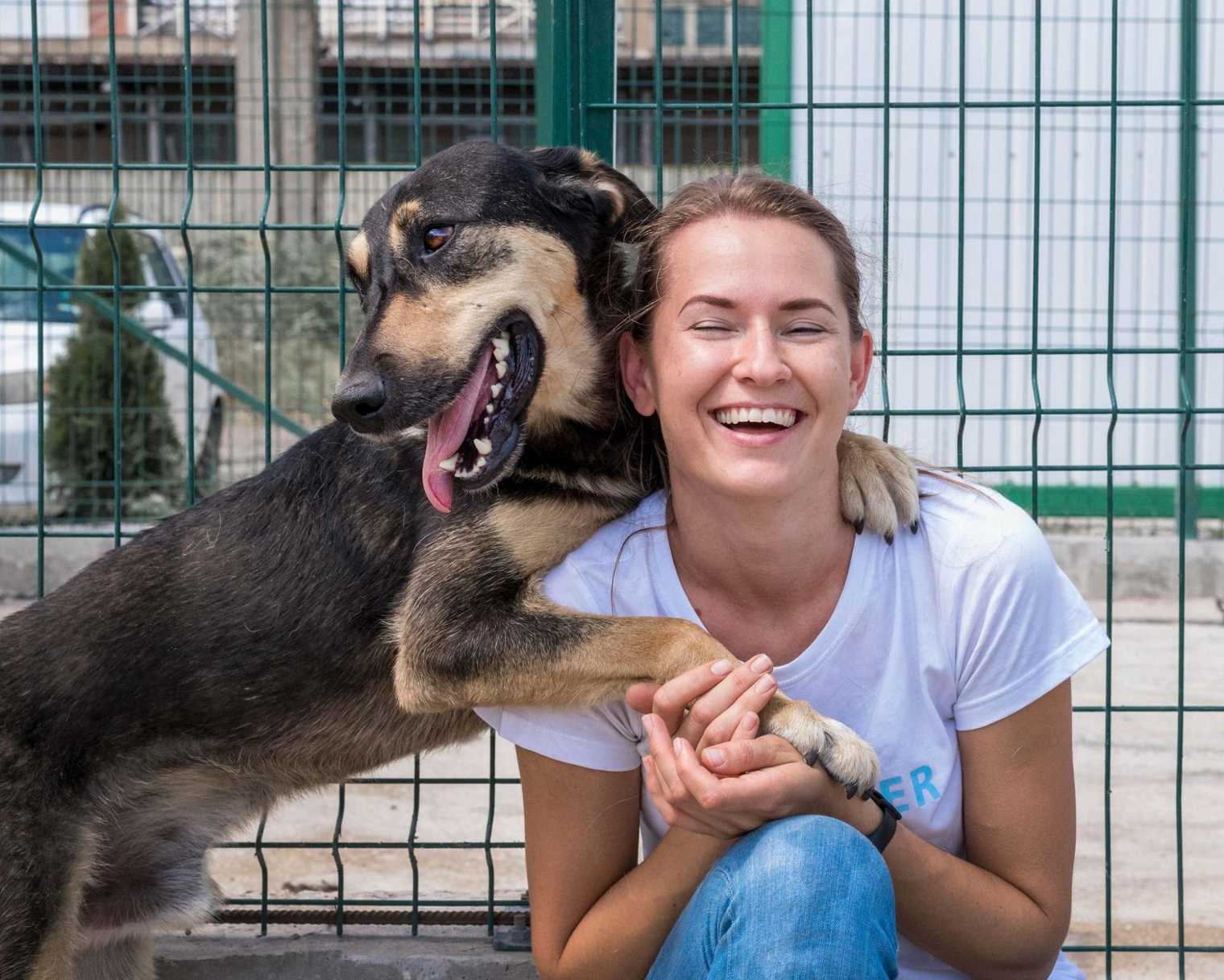 How to Train Your Shelter or Rescue dog?