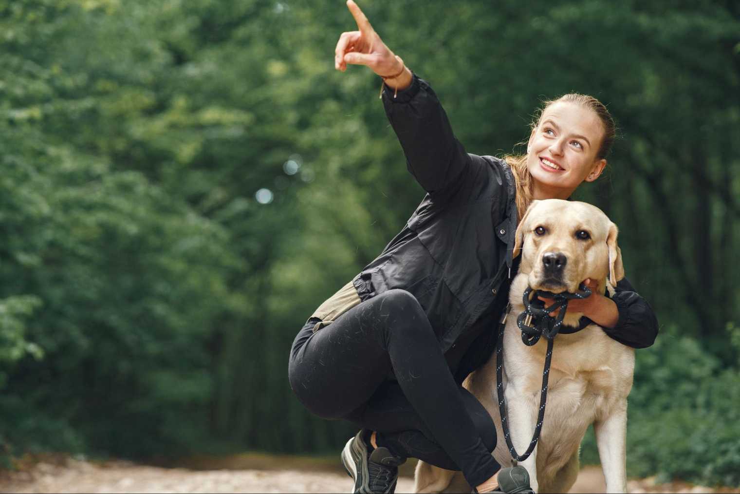 4 Practical Tips on Deaf Dog Training