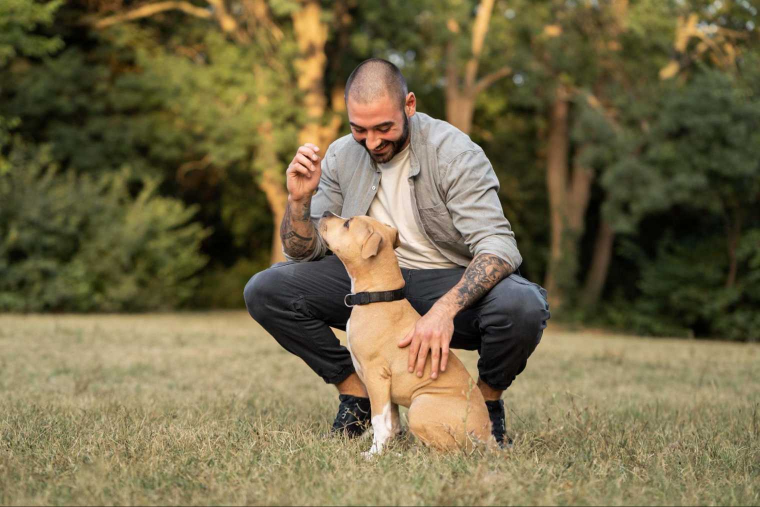 Dog Training Methods: Pros and Cons of Each Approach