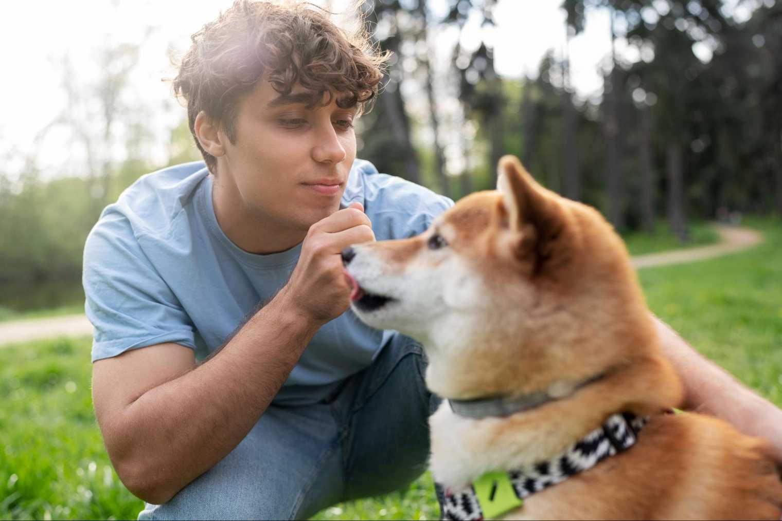 5 Easy Steps How to Teach Your Dog to Bow