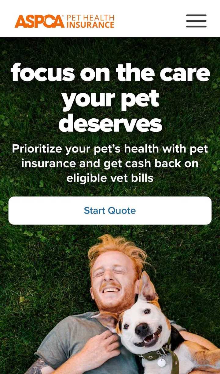 Top 10 Dog Insurance Companies for 2025