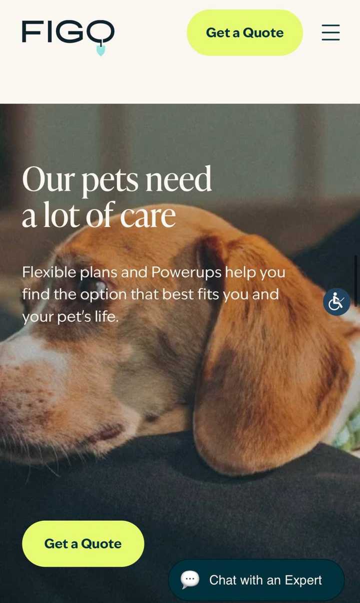 Top 10 Dog Insurance Companies for 2025