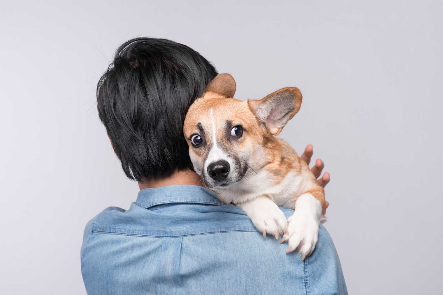 10 Dog Fears and How to Help a Scared Dog