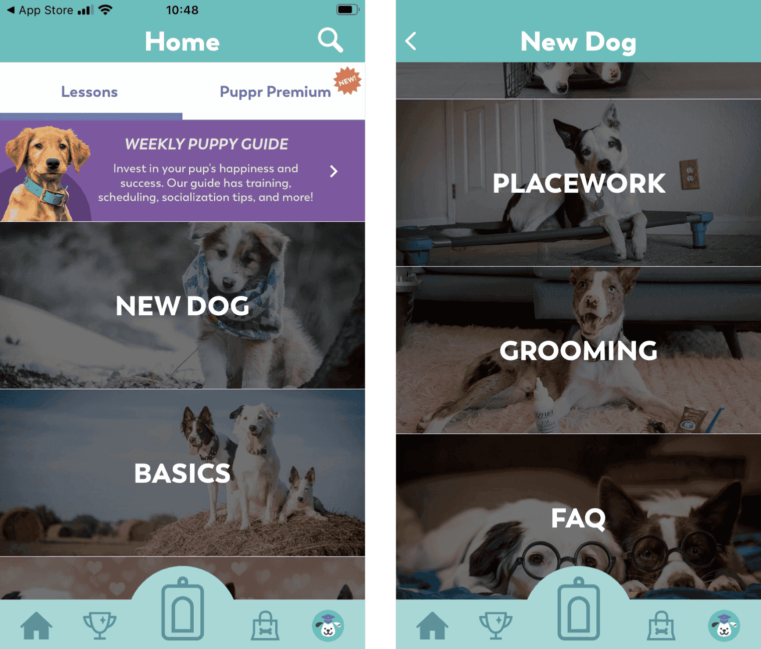 Top 7 Dog Training Apps of 2025