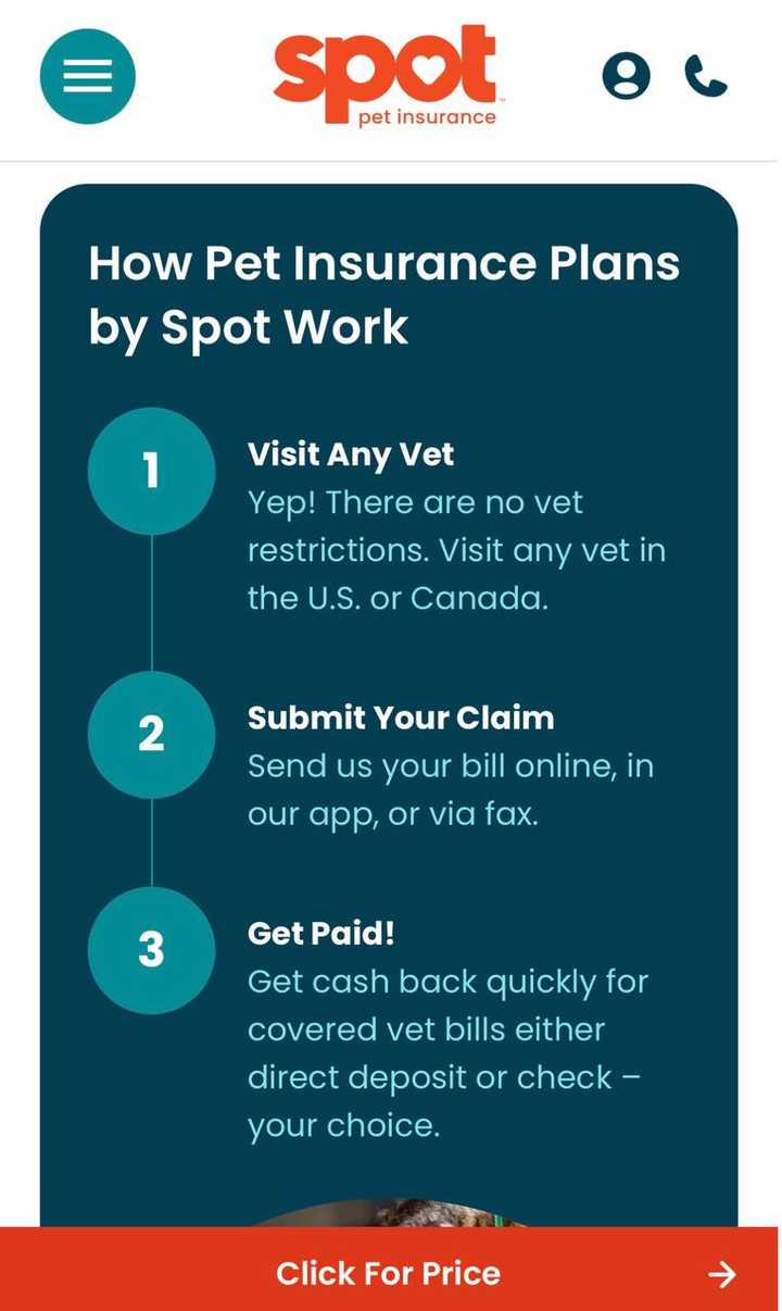 Top 10 Dog Insurance Companies for 2025