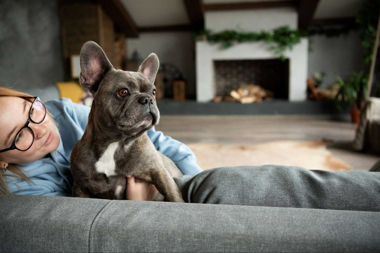 Puppy Growth: 7 Stages of Puppy Development