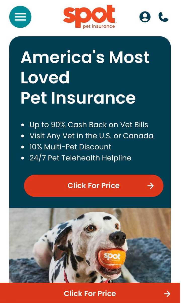 Top 10 Dog Insurance Companies for 2025