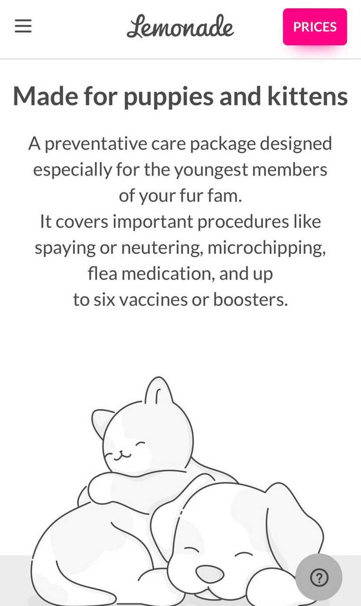 Top 10 Dog Insurance Companies for 2025